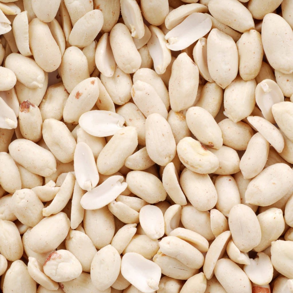 Blanched peanut - Sagar International