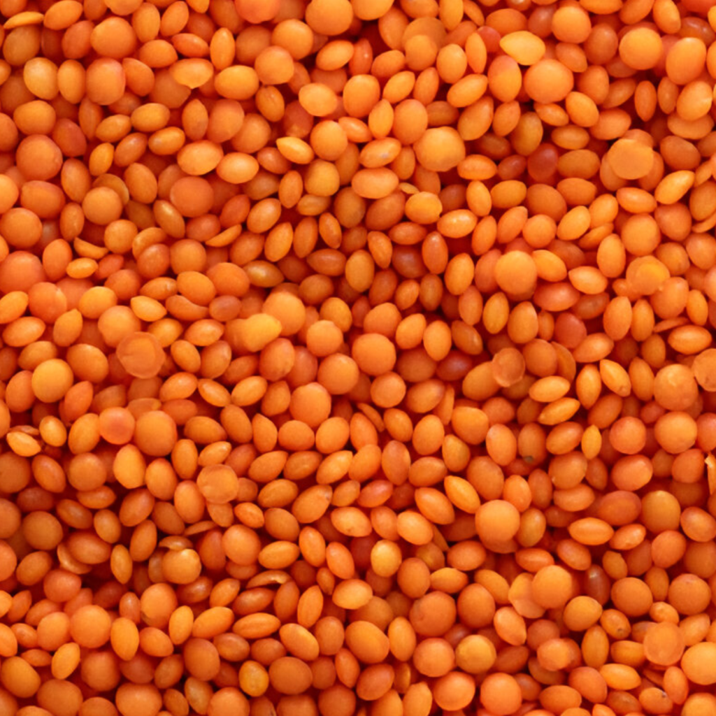 Lentils (Red) - Sagar International